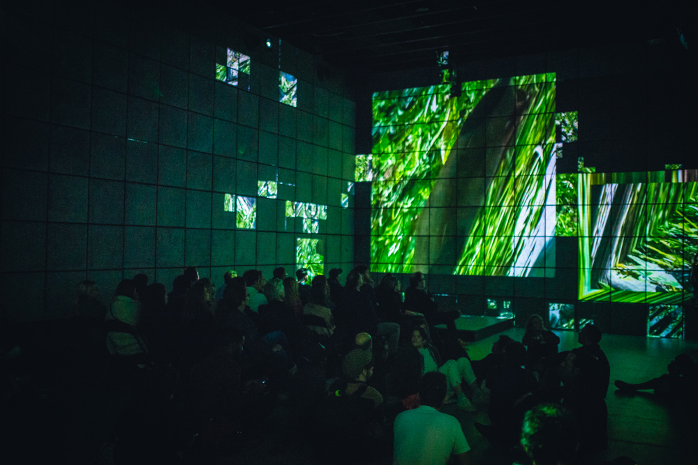 Floz - Artist & Creative Technologist