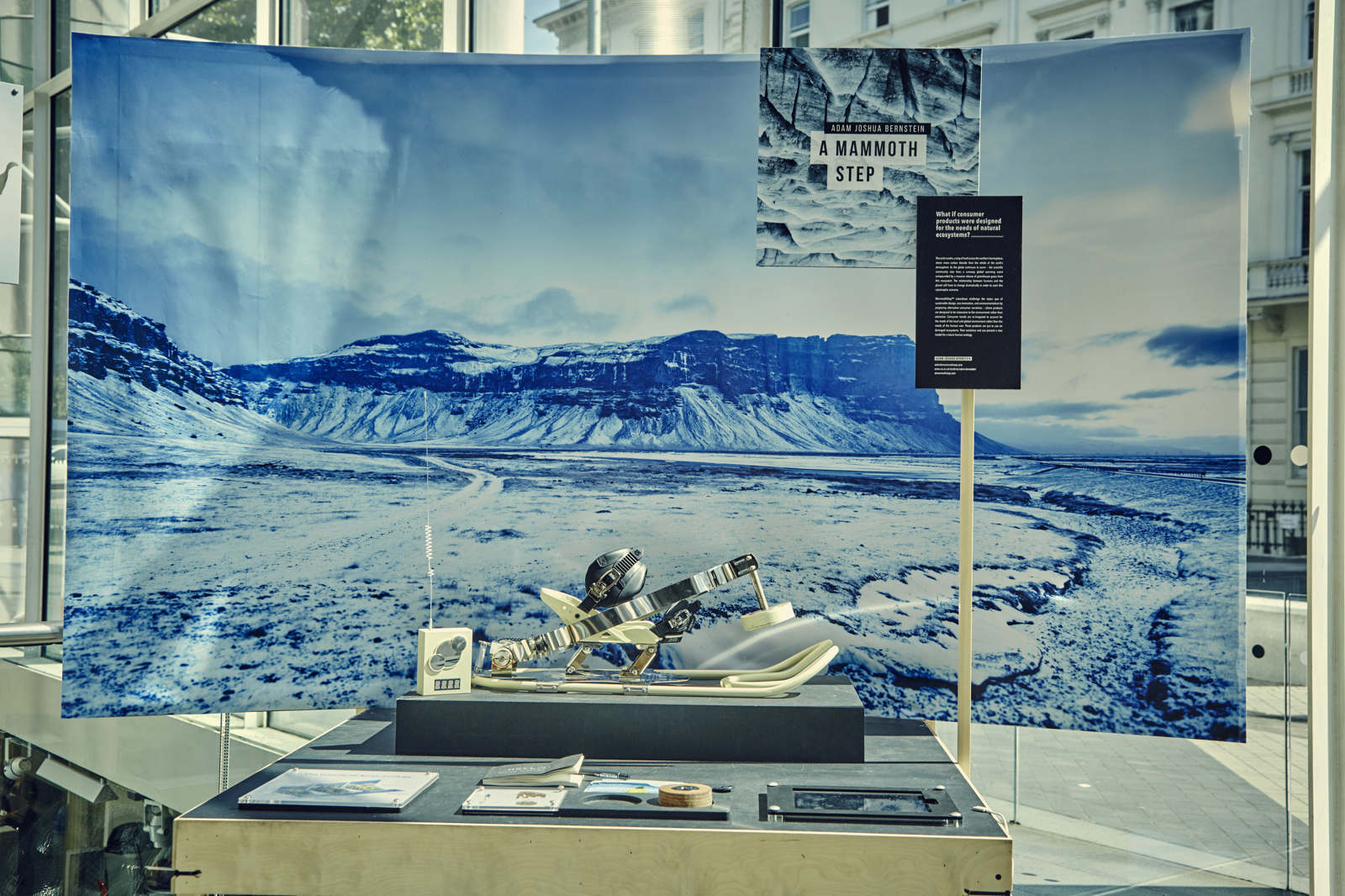 A Mammoth Step - Adam Bernstein