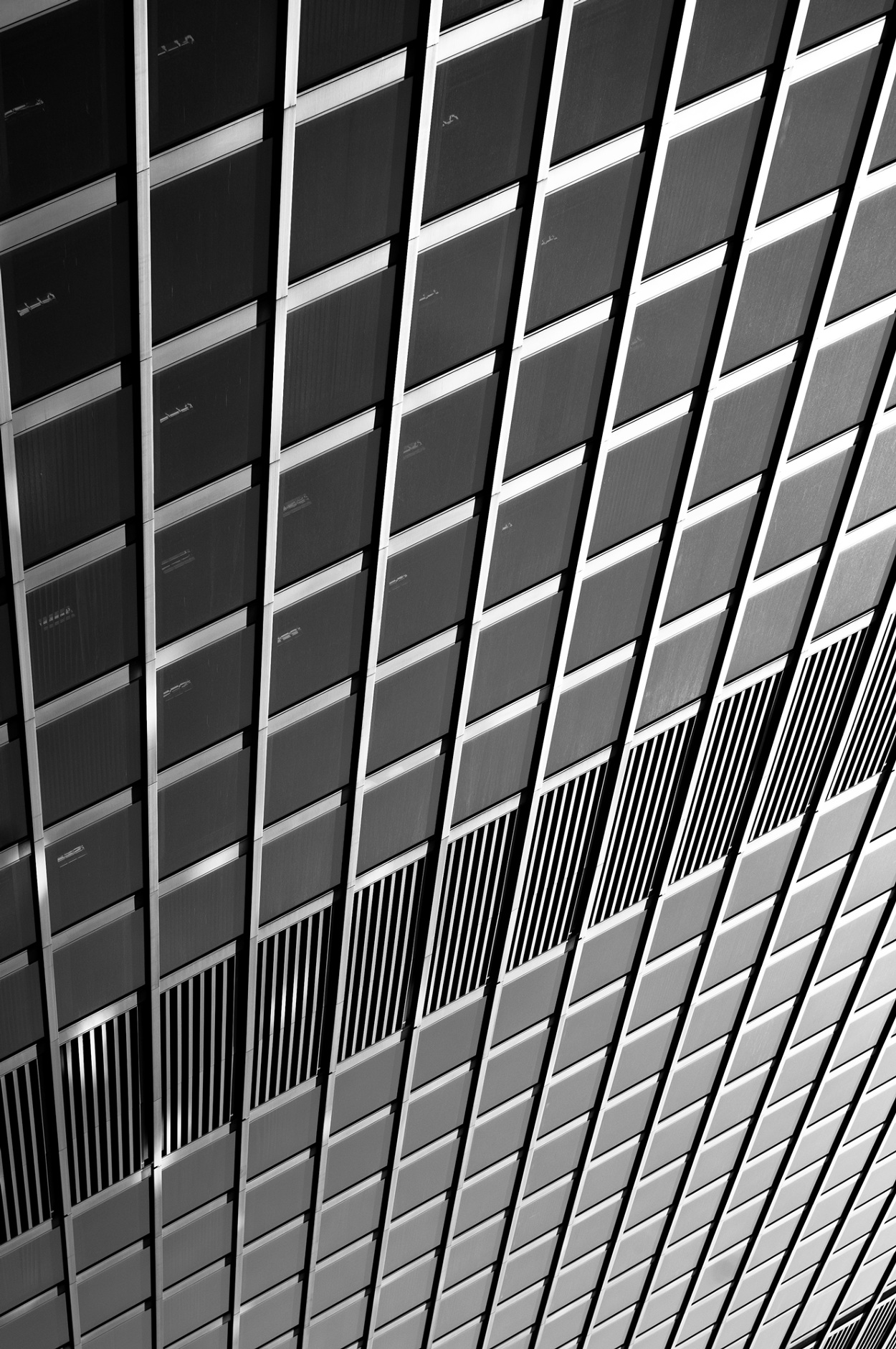 Series - Colossus - lines.