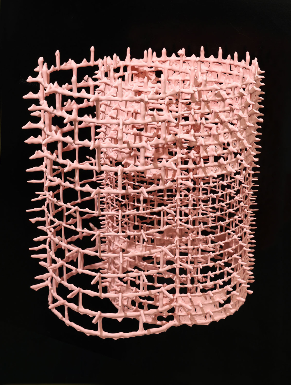 Dipped Wire Structures - Sydney Cash
