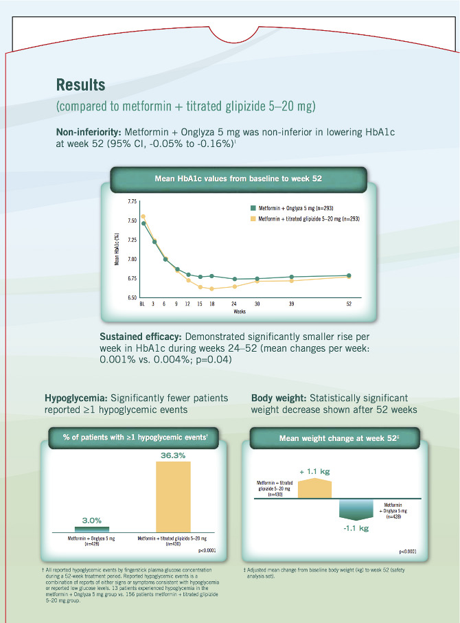 Onglyza—Reprint Carrier - Words by Kelsey