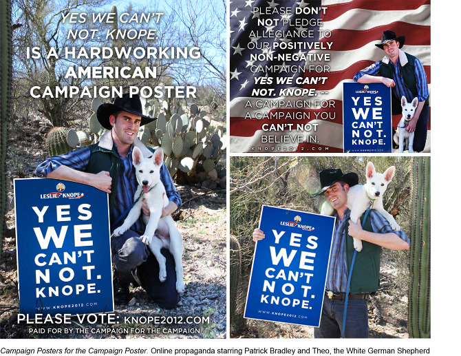 Leslie Knope 2012 Campaign Poster - Patrick Bradley_Design Portfolio