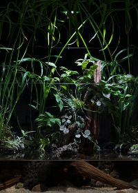 12-Gallon Long - Josh Okun