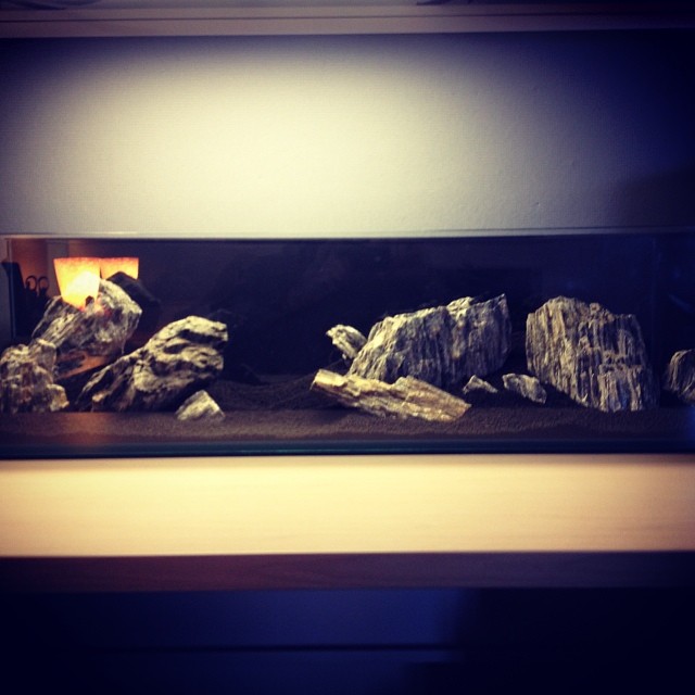 12-Gallon Long - Josh Okun