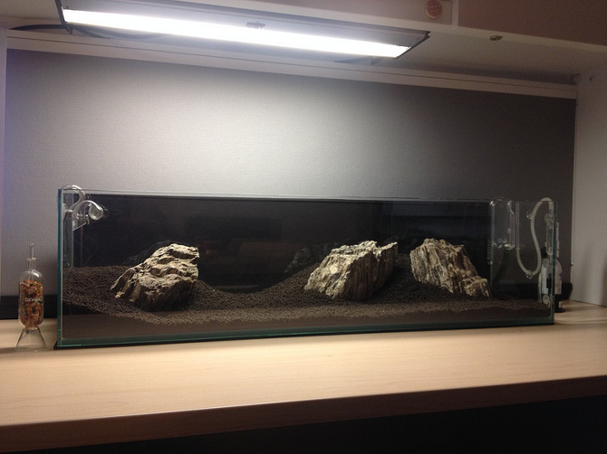 12-Gallon Long - Josh Okun