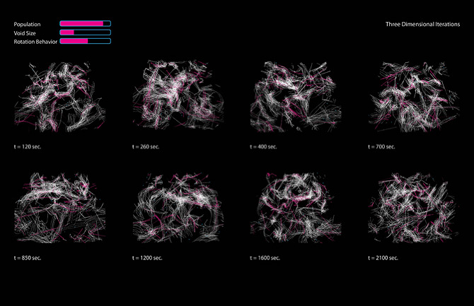 Swarm Intelligence - Tyler Julian Johnson | Architect + Designer