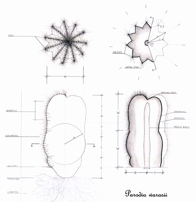 Analog Drawings - Tyler Julian Johnson | Architect + Designer