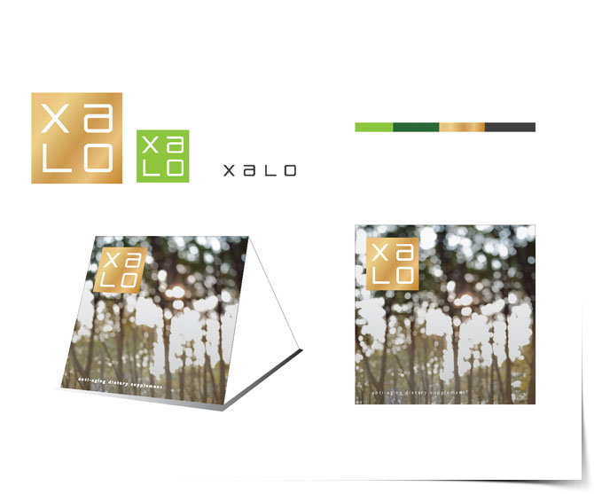 Logo Exploration - Allaina Jeffreys: Creative Portfolio