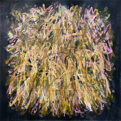 Chris Robb -Artist