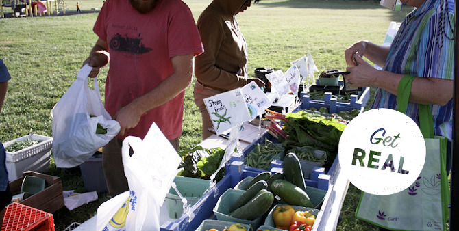 Real Food Farm - Kailie Parrish Design