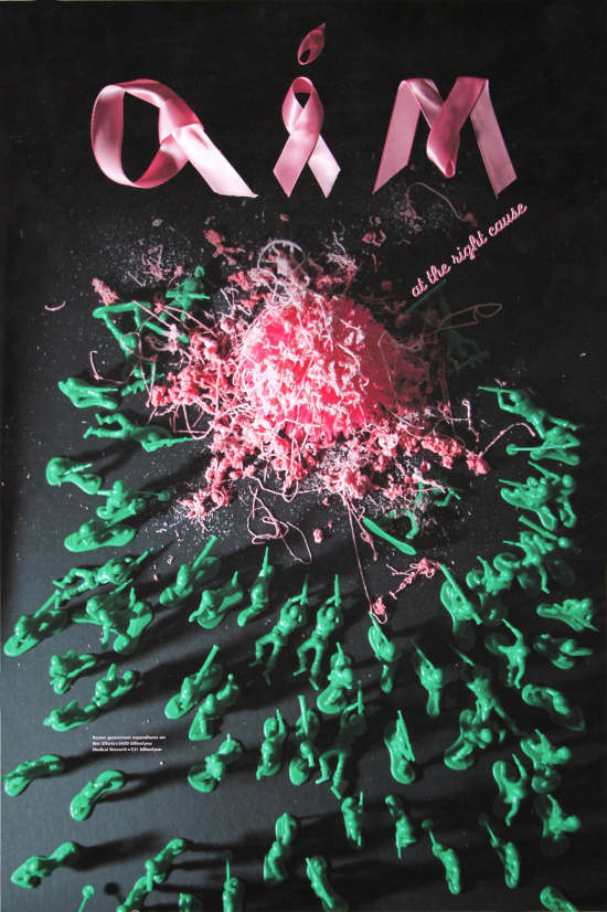 Student Collages, Posters, Brochures 2010-2011 - Chitra's work