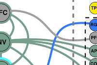 Codename: Dogpatch; A Case Study - Working Group on Adaptive Systems