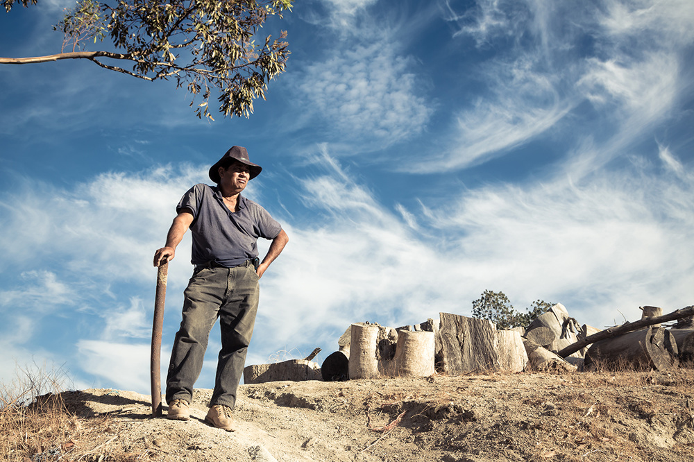 West World - Eric Peltier / Photographe