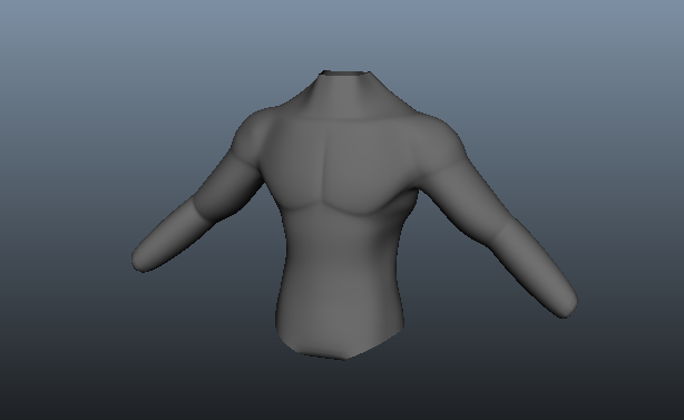 Torso 3D Model - JPetarra