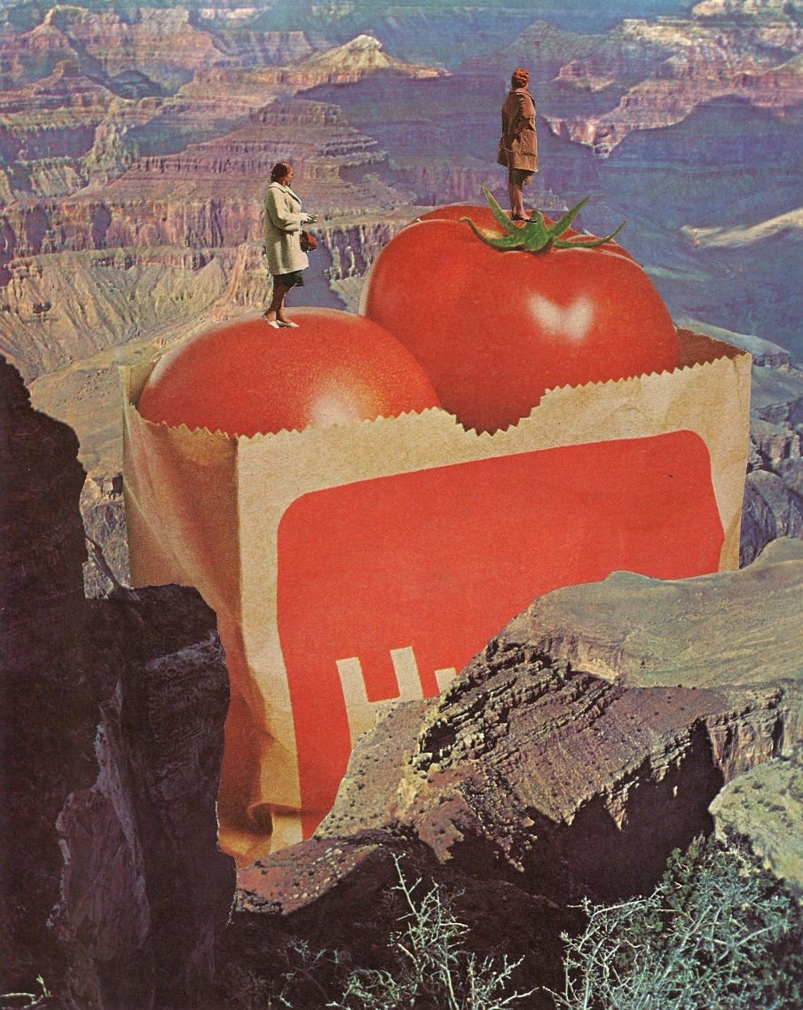Collage by Jesse Treece