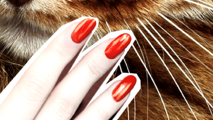 MAC Cosmetics Fabulous Feline - Laura Rieland