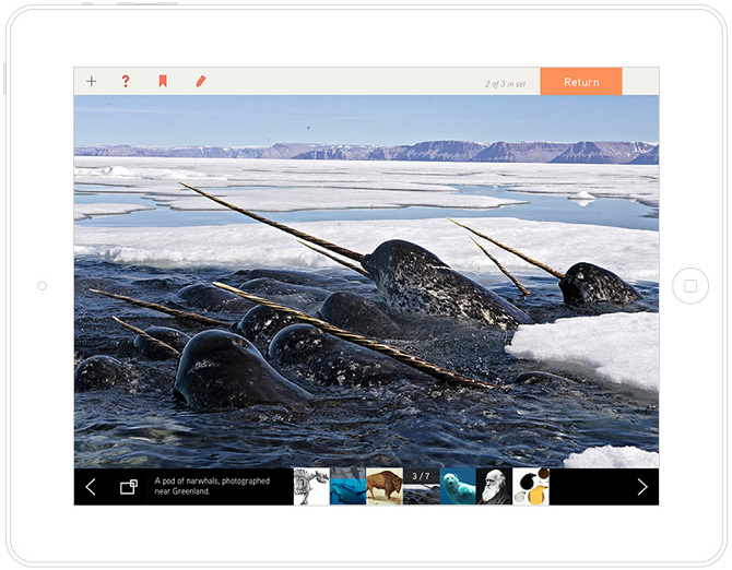 Curriculum Container Studies - Ross Pike, Independent UX, Branding, and ...
