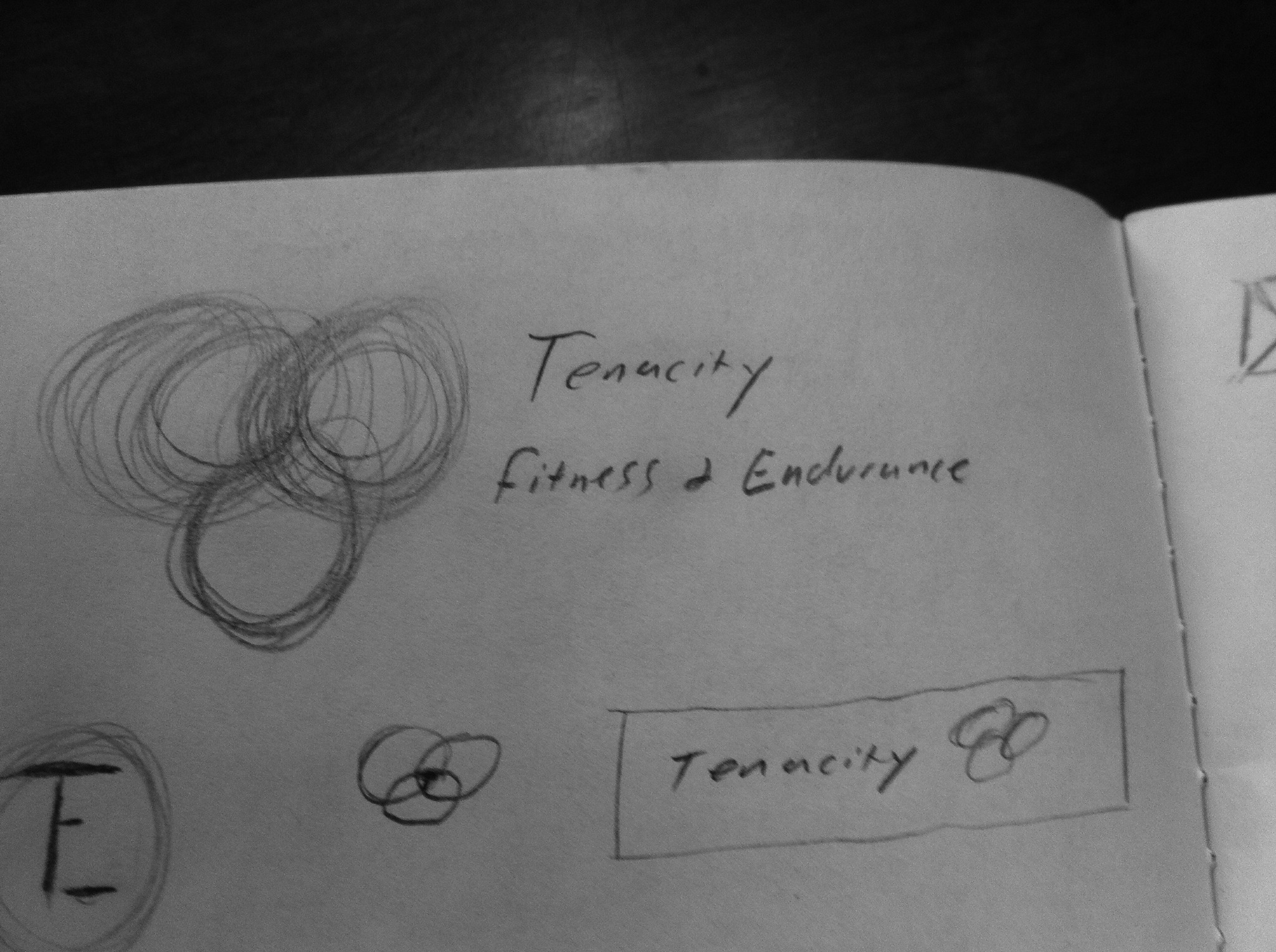 Tenacity Logo - Dave Mahmarian