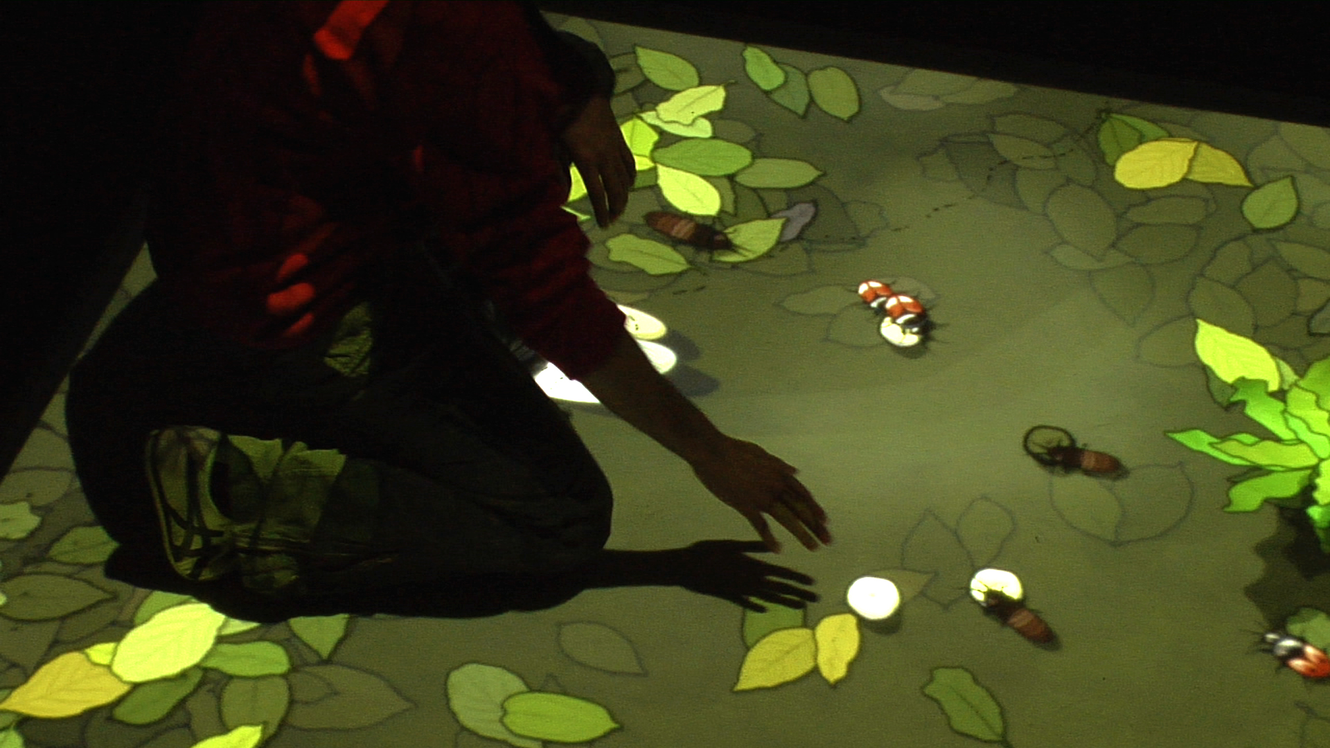 California Academy of Sciences: Bug Rug - Katherine Trimble