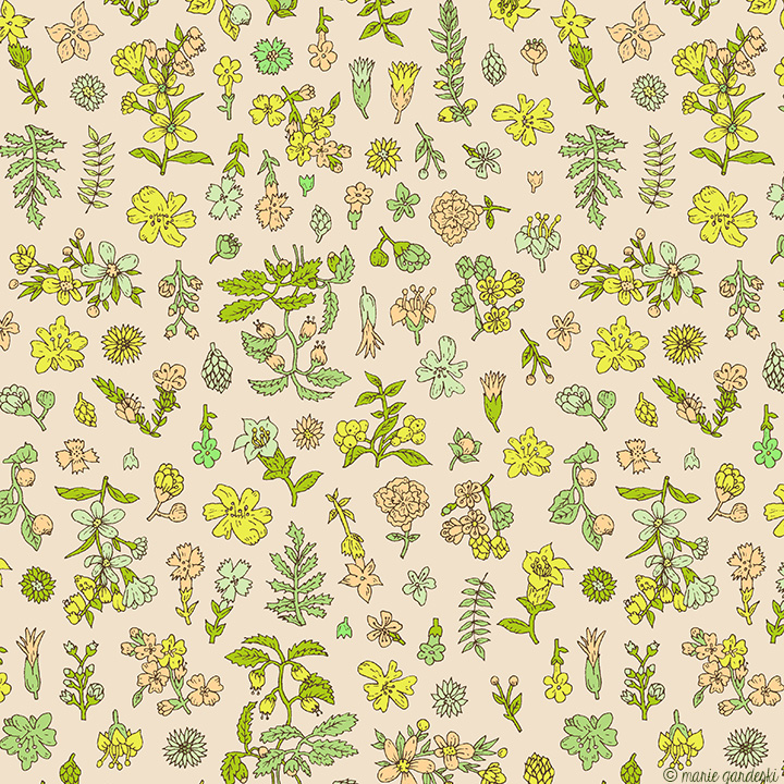 Pattern / Plants - marie gardeski