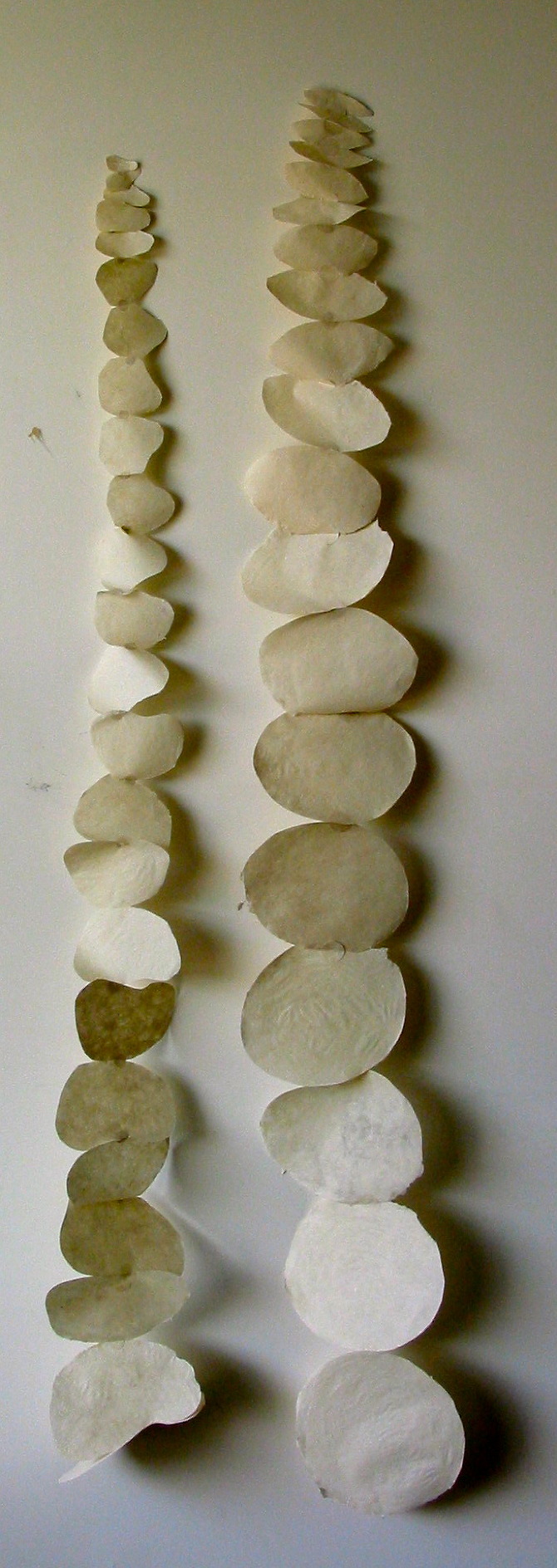 Topographical Stories - Jenna Frances Harris