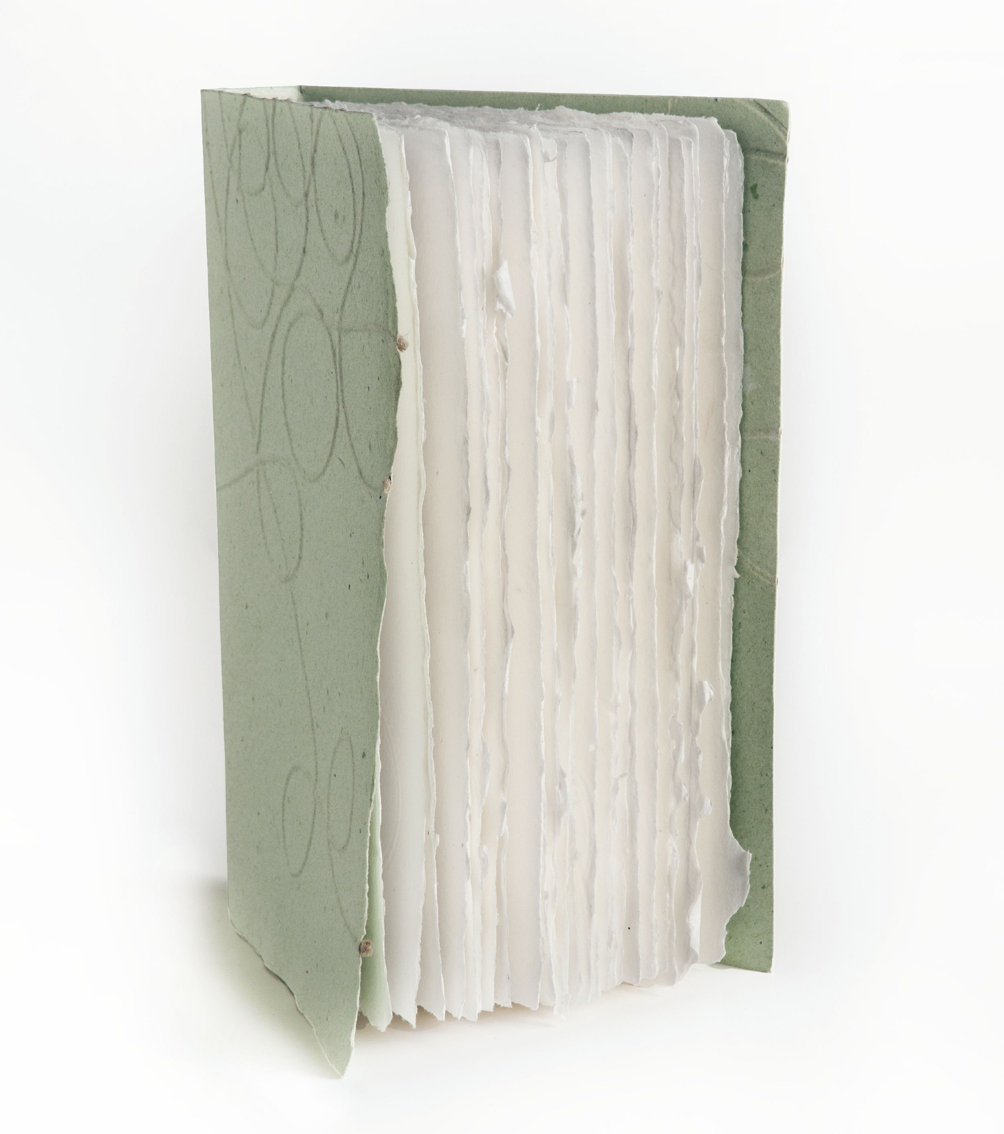 Storyline - Jenna Frances Harris