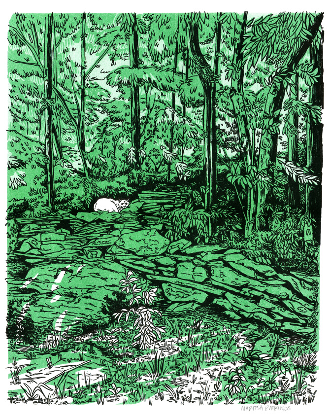 Maritsa Patrinos | Illustration