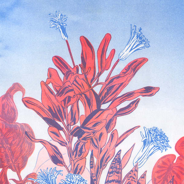 Maritsa Patrinos | Illustration