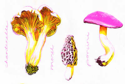 Maritsa Patrinos | Illustration