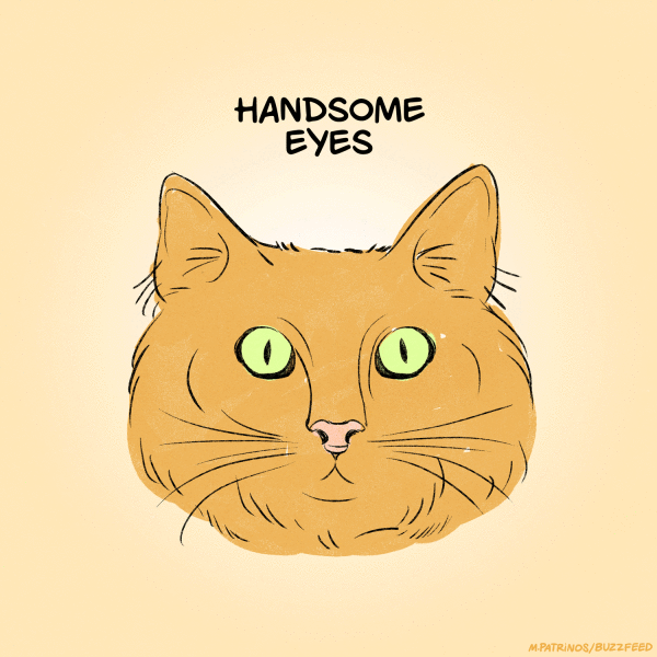 Not-Serious Gifs - Maritsa Patrinos | Illustration