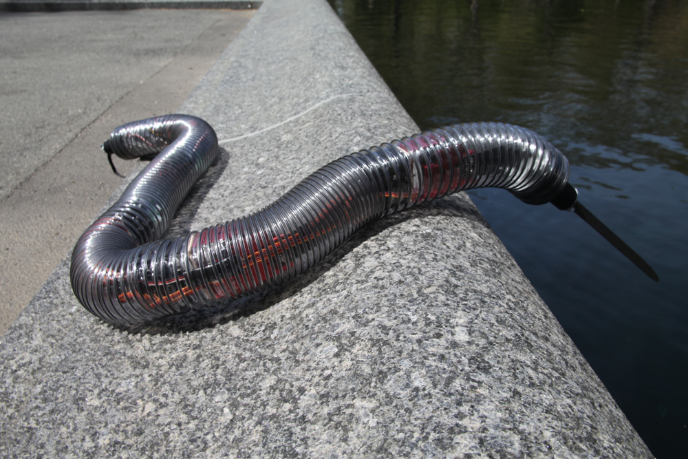 SNEEL - gabriella levine