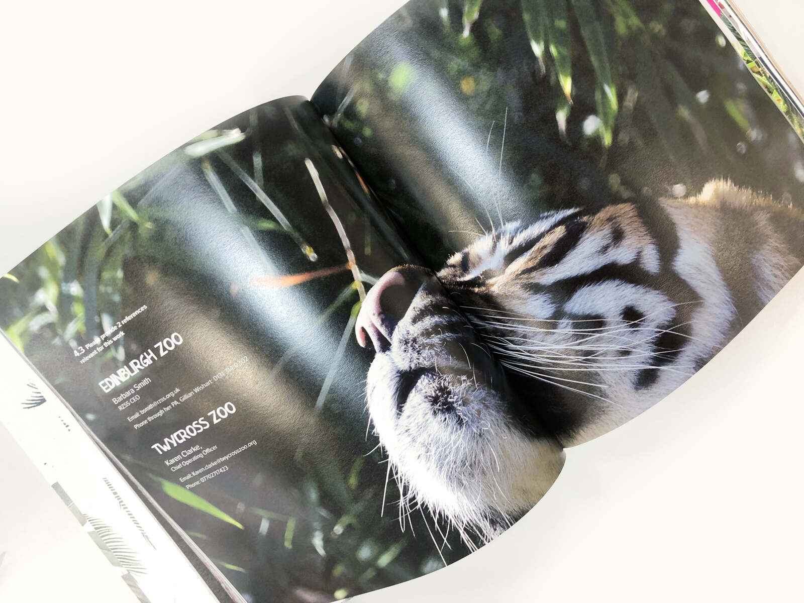 London Zoo - Catherine Bellini
