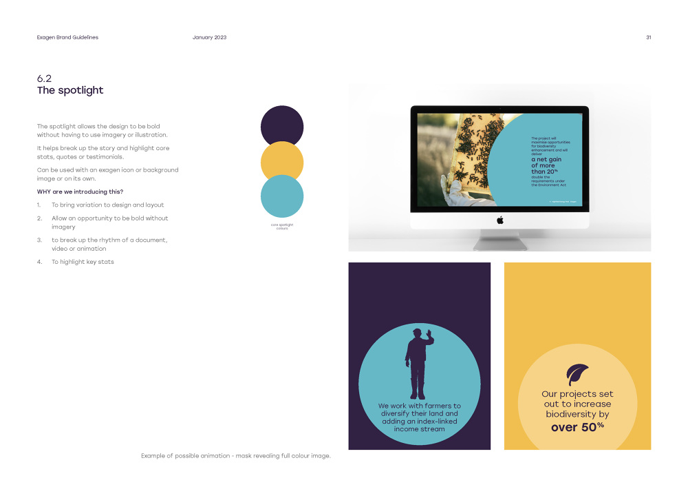 Exagen Brand refinement - Catherine Bellini