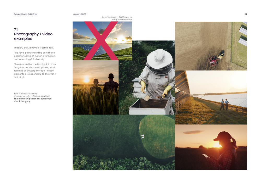 Exagen Brand refinement - Catherine Bellini