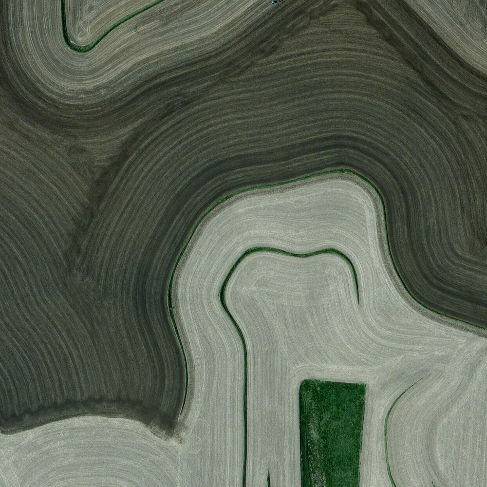 Earth Patterns - Lauren Manning Design