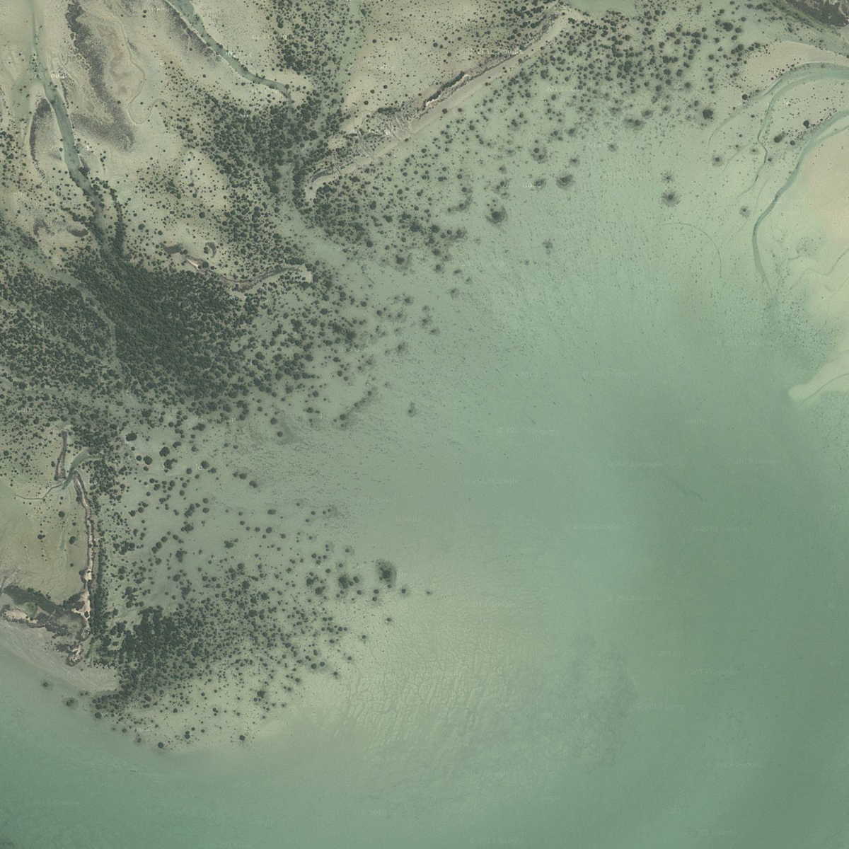 Earth Patterns - Lauren Manning Design