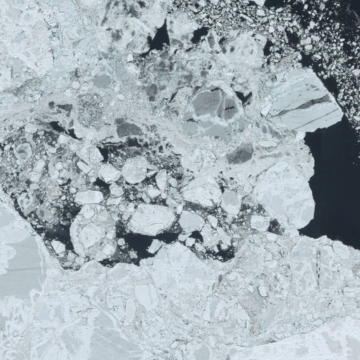 Earth Patterns - Lauren Manning Design