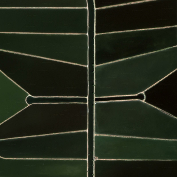 Earth Patterns - Lauren Manning Design