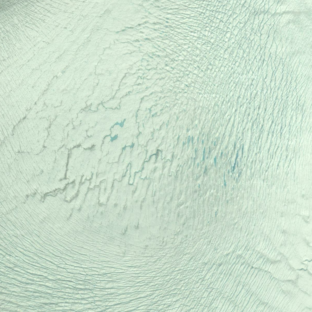 Earth Patterns - Lauren Manning Design
