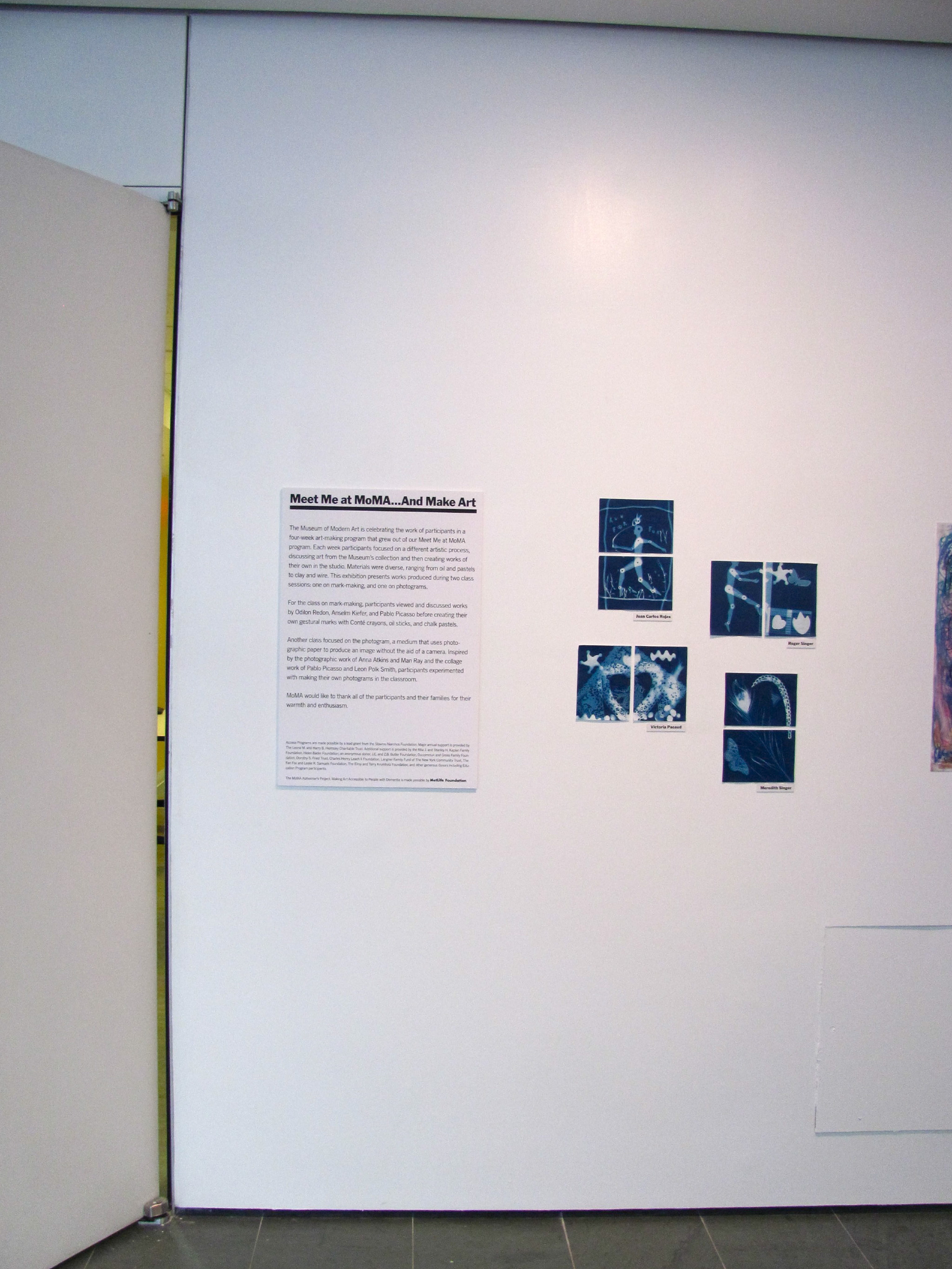 MoMA Projects - ChelseaAmato