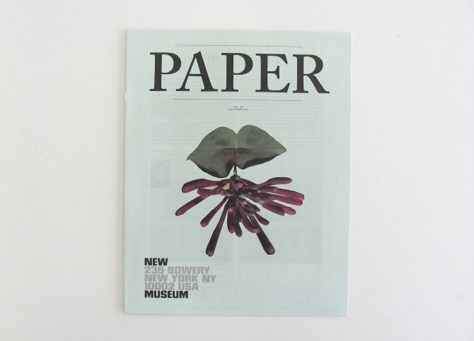 New Museum Paper - ChelseaAmato