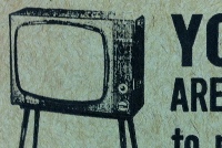 Rose Newton: Observe + Document + Dissect + REACT