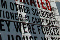 Rose Newton: Observe + Document + Dissect + REACT