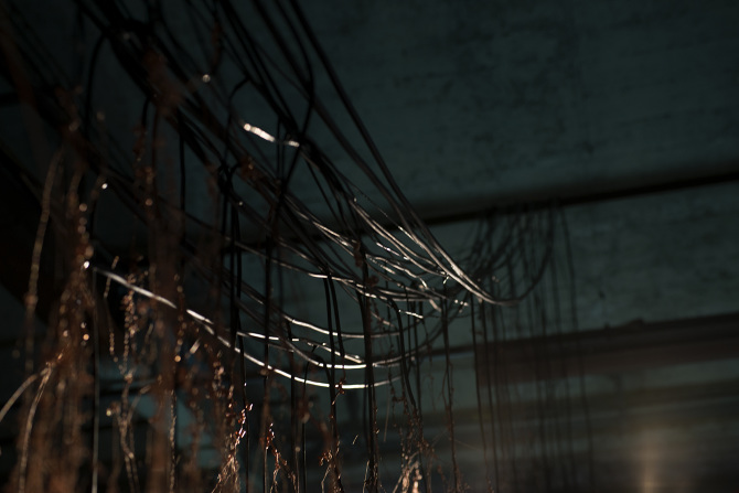 DEAD WIRE - Alibi Studio | Catie Newell