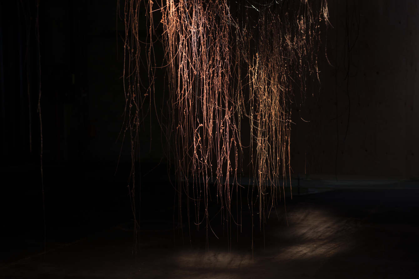 DEAD WIRE - Alibi Studio | Catie Newell