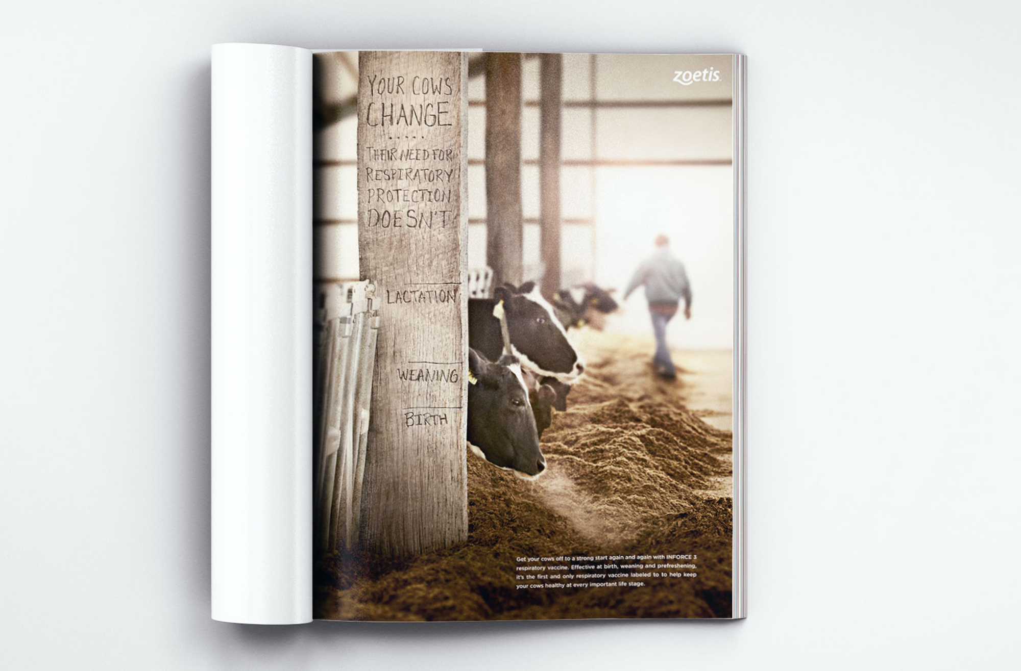 complete care - :: made by kerry