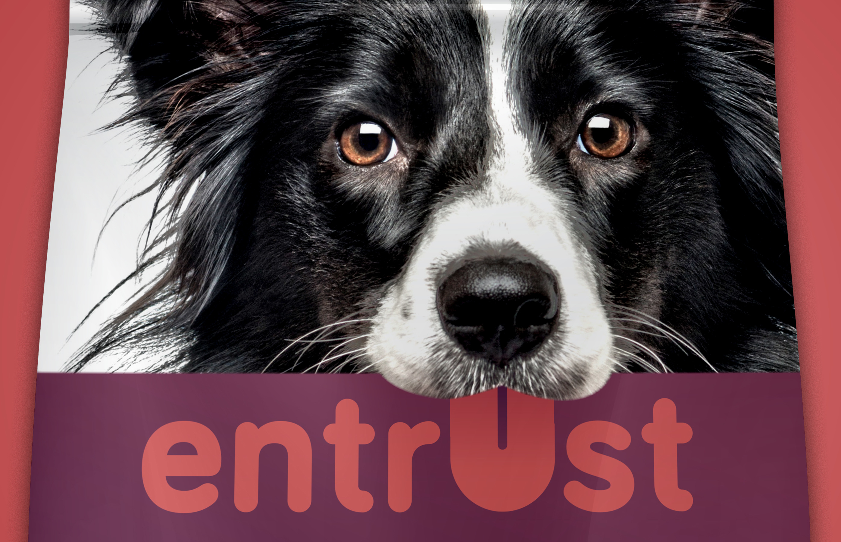 perfected pet packaging - :: made by kerry