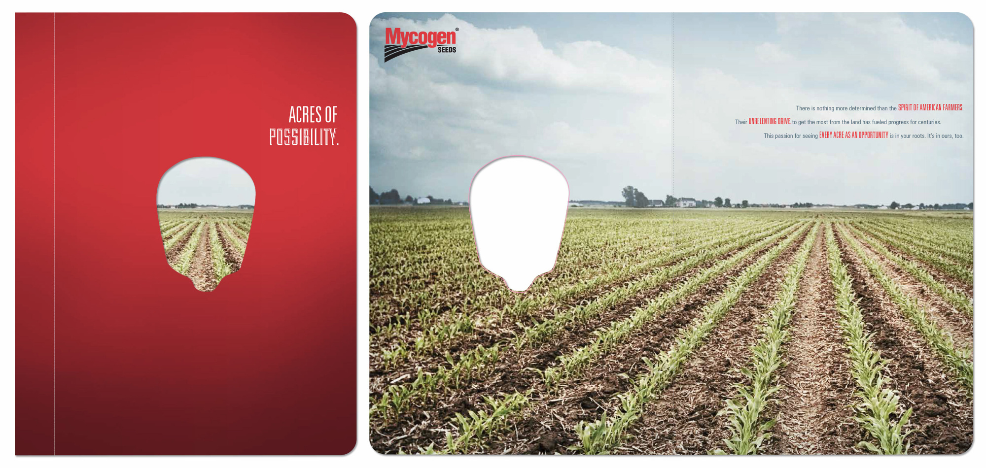 mycogen seeds - :: made by kerry