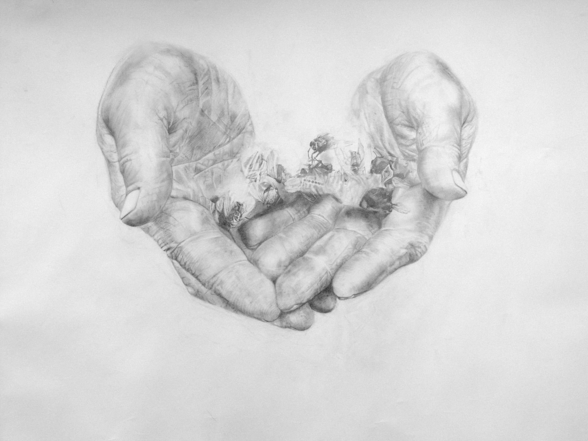 draw - Vanessa Haddad