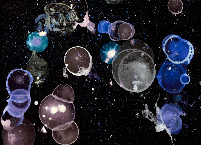 The Local Bubble - NANCY MUNFORD